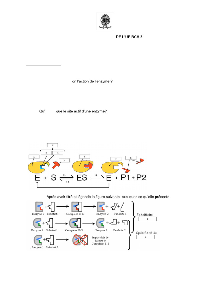 Fiche de TD N°1 de BCH 311 - 2024 | PDF