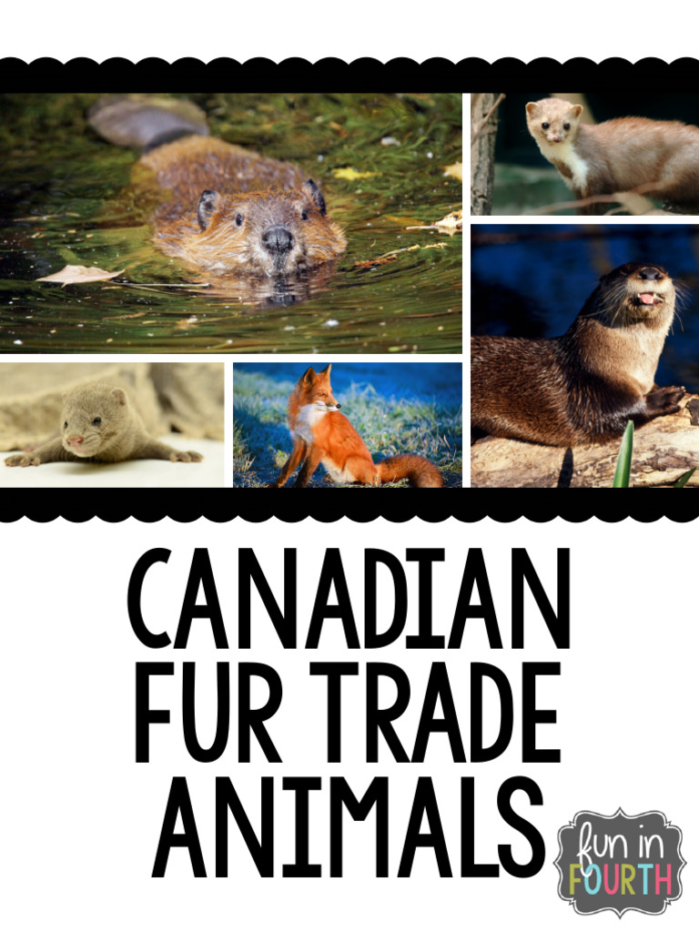 Canadian Fur Trade Animals | PDF