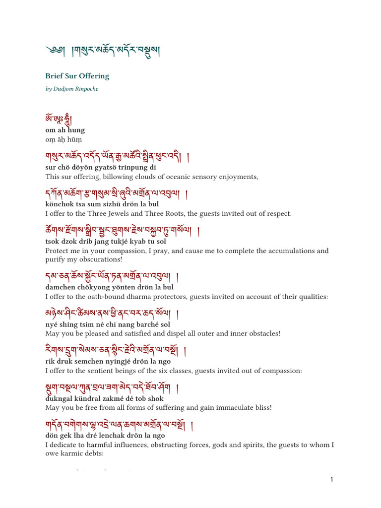 Brief Sur Offering | PDF