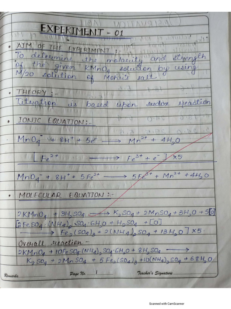 Class 12 Chemistry Practical | PDF