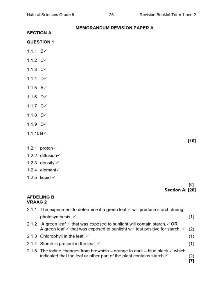 GR 8 NS Nov Memo | PDF