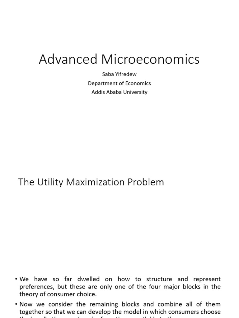 Utility Maximization Pdf