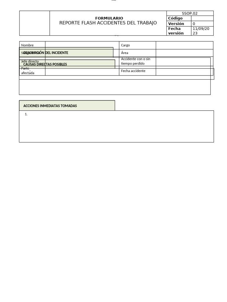 Reporte Flash Accidente Trabajo | PDF
