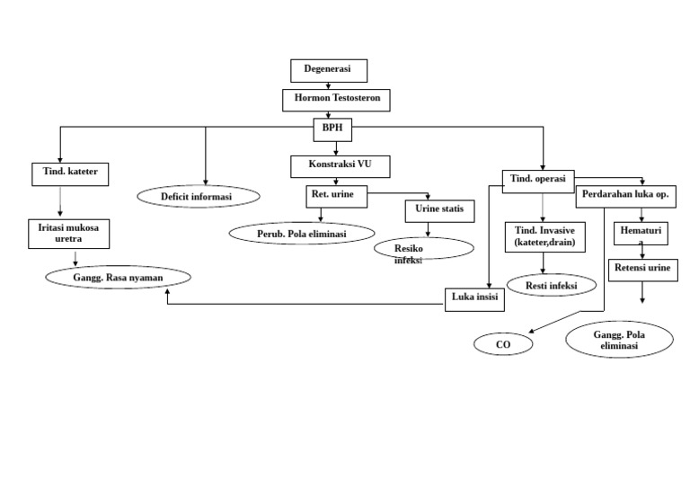 Pathway Benigna Prostat Hipertropi | PDF
