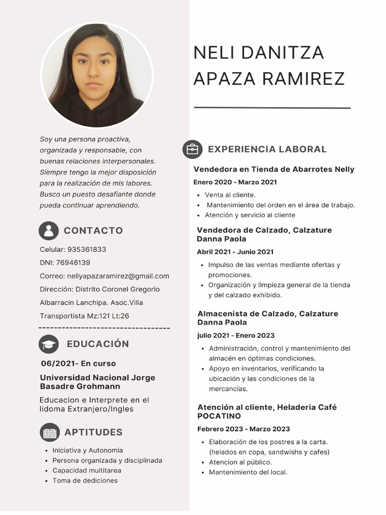 CV Neli Danitza Apaza Ramirez | PDF