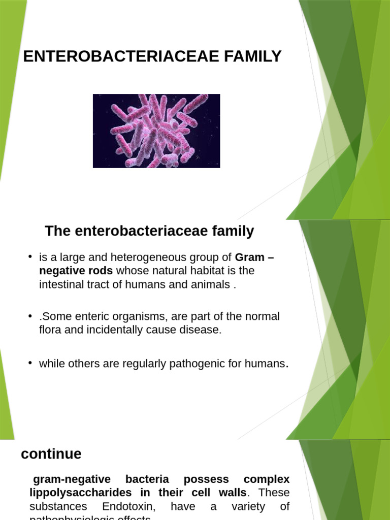 Enterobacteriaceae - Nuevo | PDF