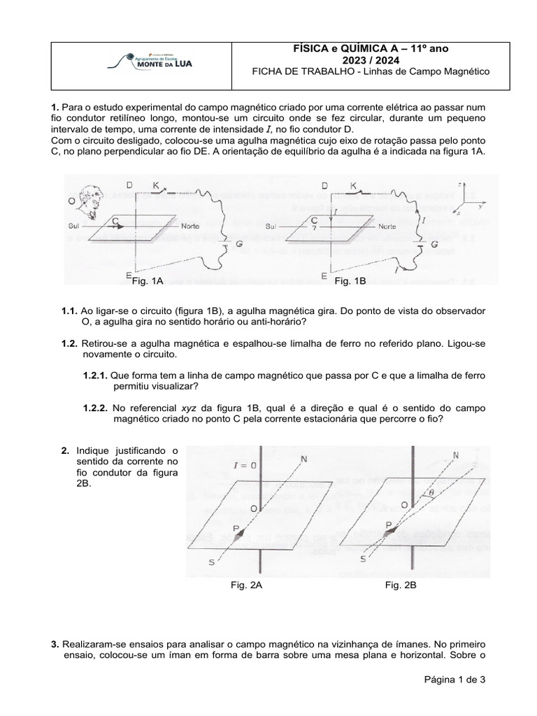 FT15 LINHAS de CAMPO MAGNÉTICO | PDF