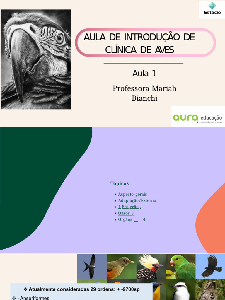 Anatomia de Aves - Aula1 | PDF