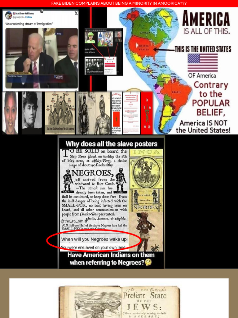 Fake Biden complains about being a MINORITY IN AMOORICA while the USA ...