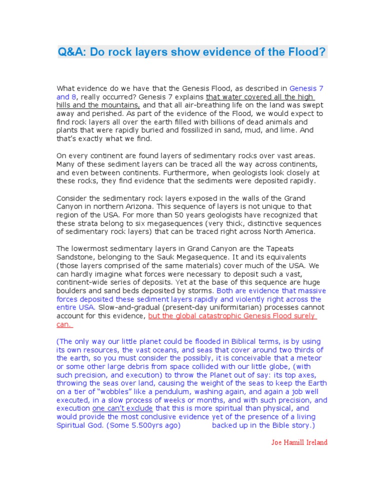 Q&A The Flood | PDF | Sedimentary Rock | Genesis Flood Narrative
