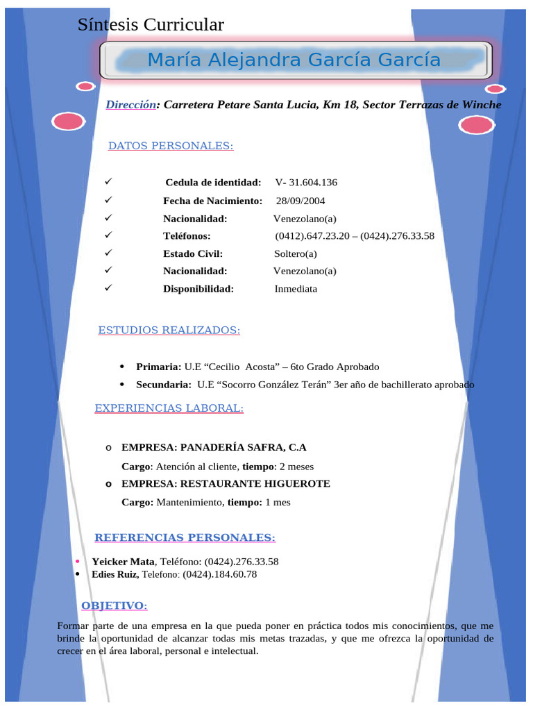 Curriculum Maria Alejandra | PDF | Politics | Social Science