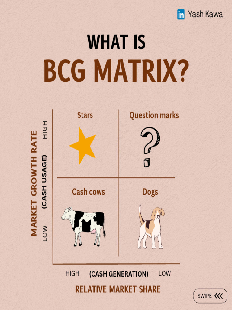 BCG Matrix | PDF