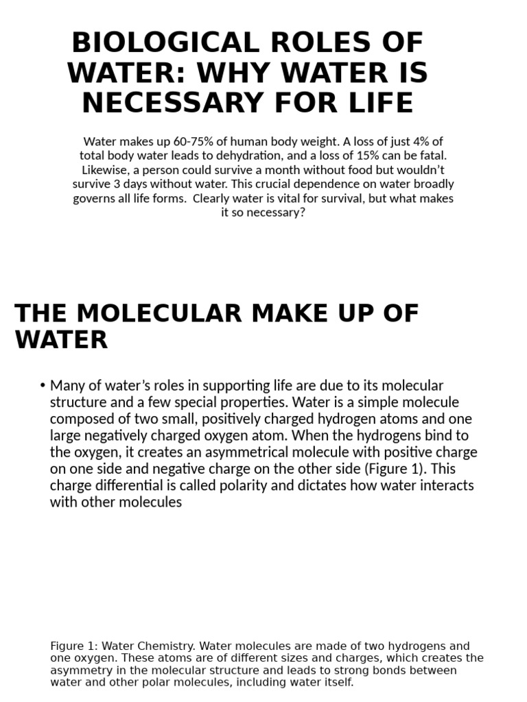 Biological Roles of Water | PDF