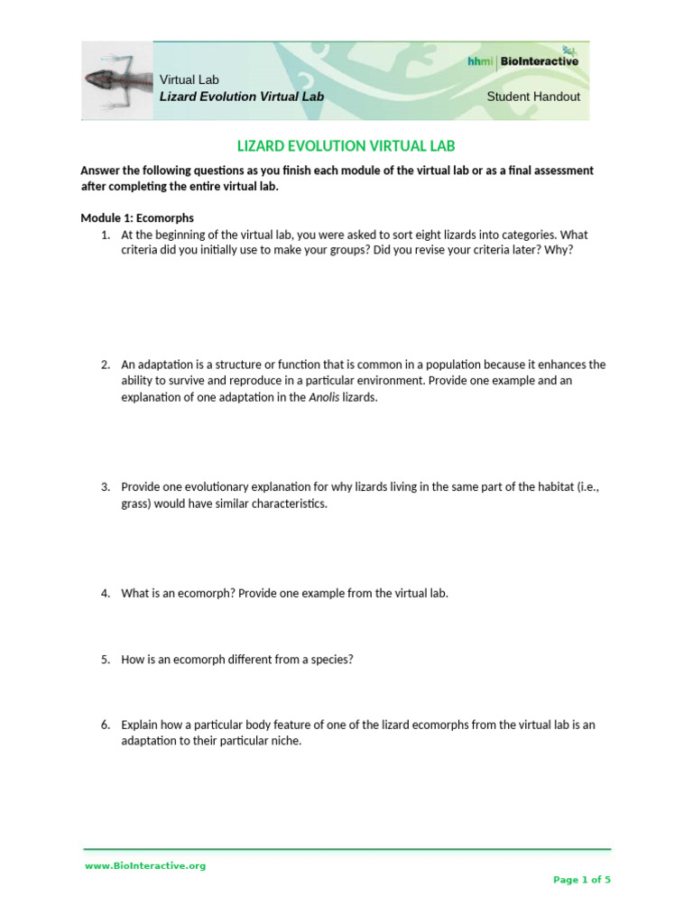 Mod 2 Lizard Evolution Virtual Lab Student Worksheet1 | PDF