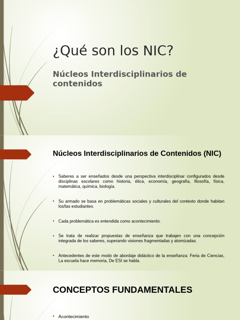 Qué Son Los NIC | PDF