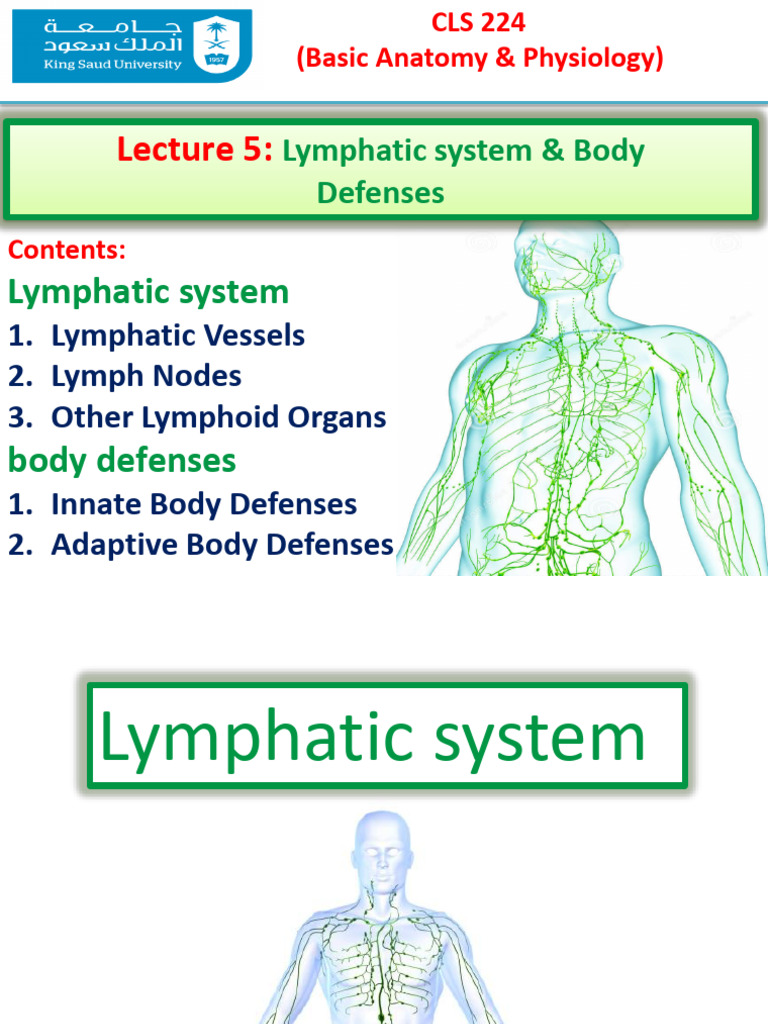 Lymphatic System & Body Defenses Overview | PDF | Lymphatic System ...