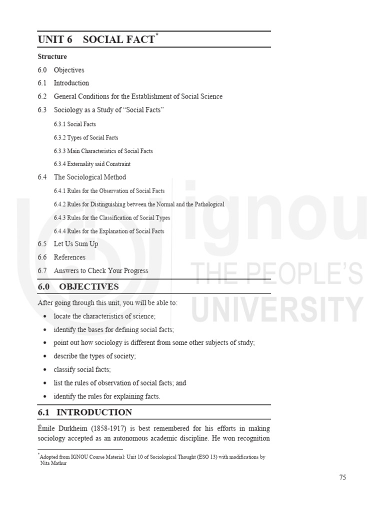 Unit 6 | PDF