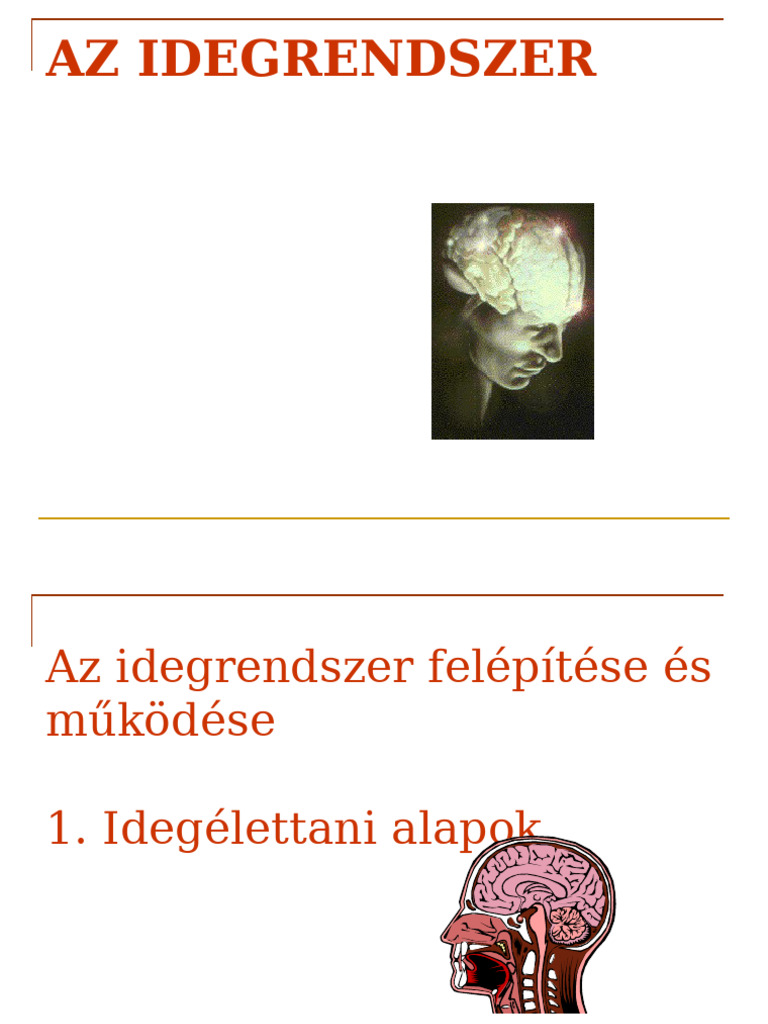 Az Idegrendszer | PDF