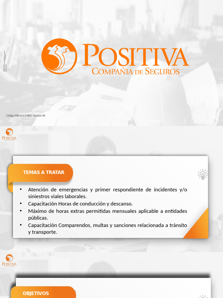 Seguridad Vial DP 10072024 | PDF