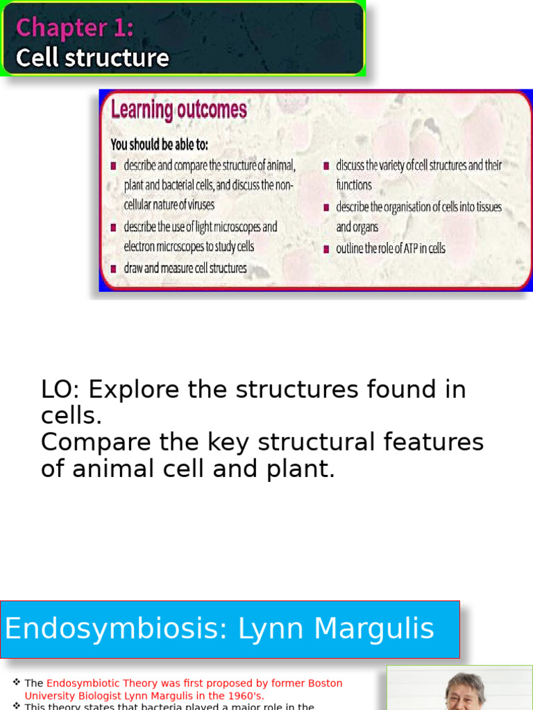 Cell Structure | PDF