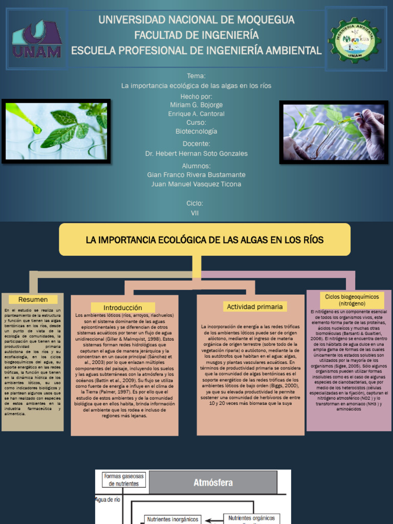 Importancia Ecologica de Las Algas en Lo | PDF
