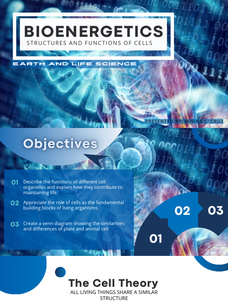 BIOENERGETICS The Cell | PDF