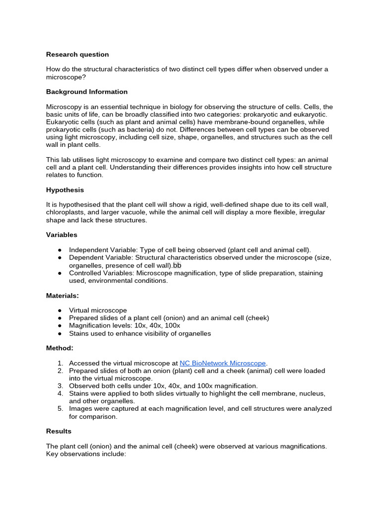 STEAM AFL Task | PDF