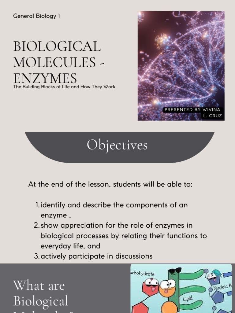 Enzymes | PDF