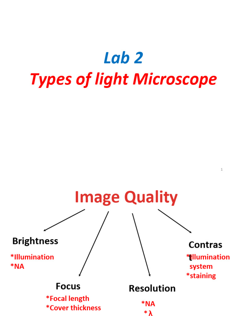 Lab 2 Types of Micros | PDF