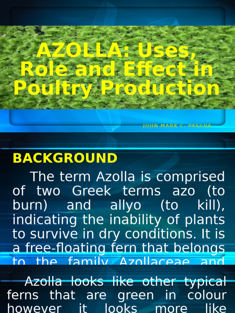AZOLLA Presentation | PDF