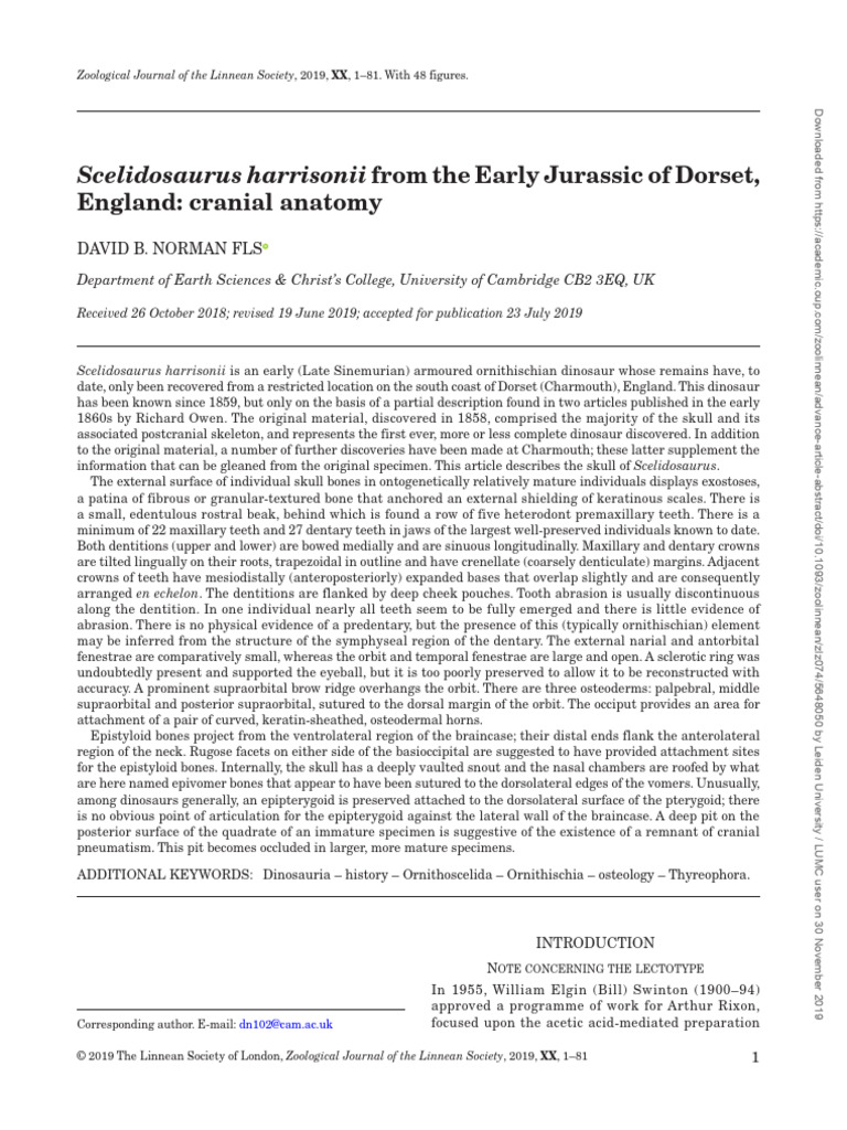 Norman, 2019 Scelidosaurus Cranial Anatomy | PDF