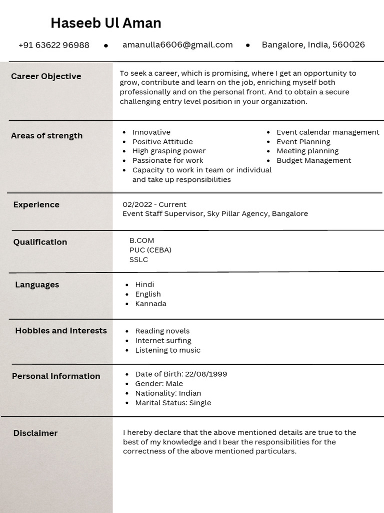 Haseeb Resume | PDF