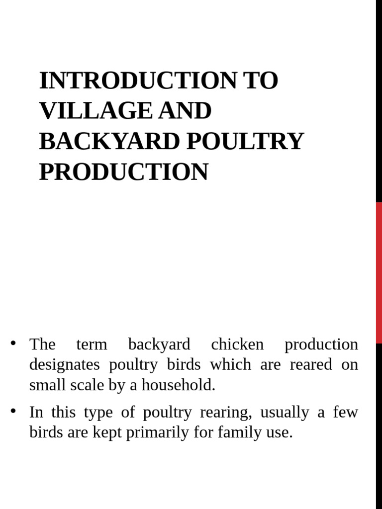 Introduction To Village and Backyard Poultry Production | PDF