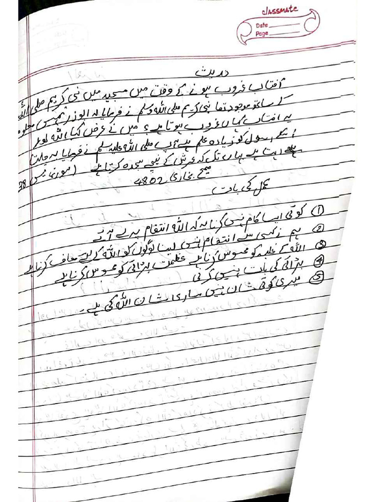 Document Urdu | PDF