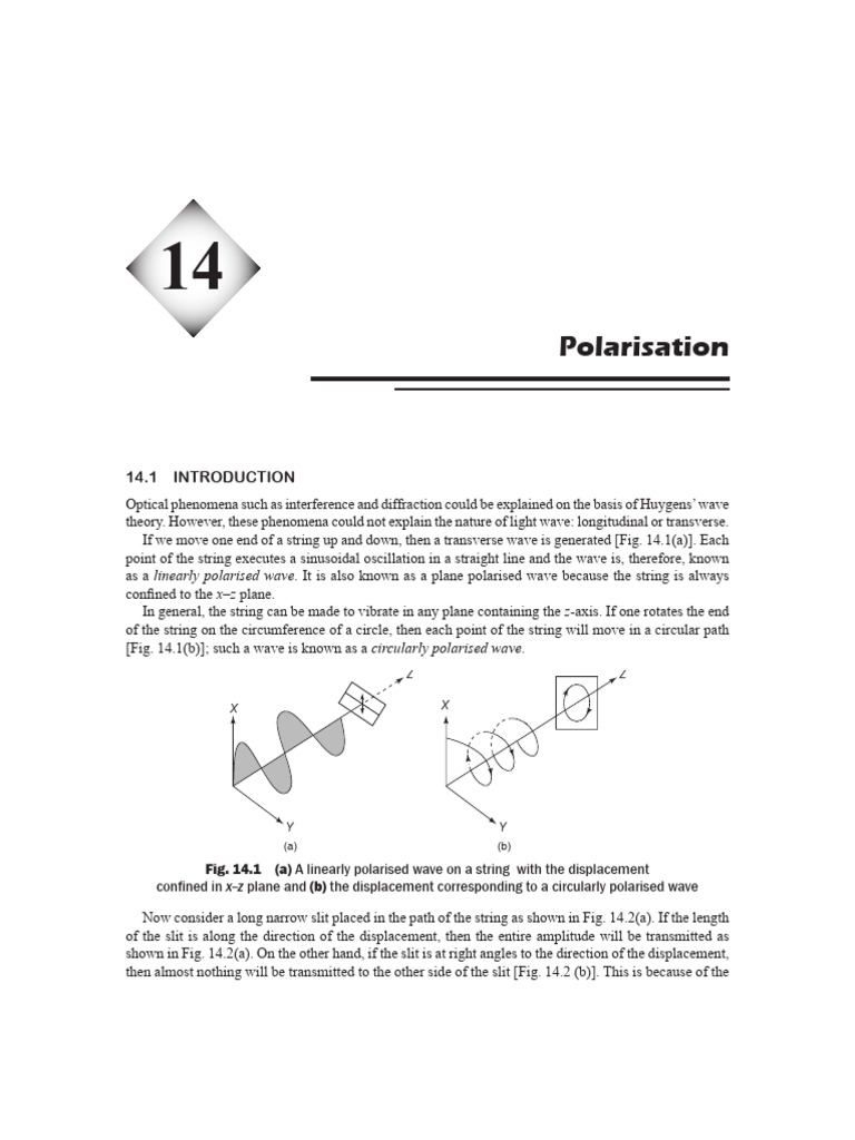 CH 14 Polarisation | PDF