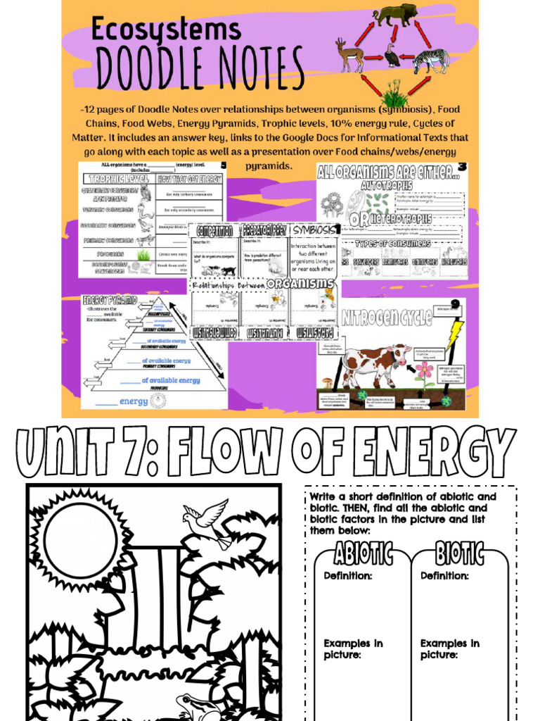 EcosystemsVisualNotes 1 | PDF