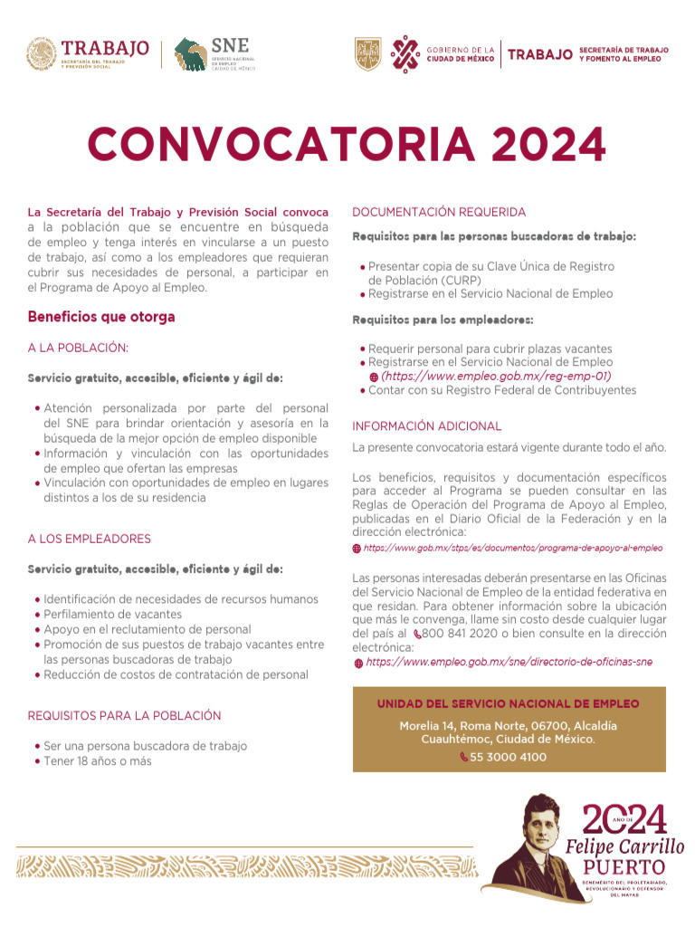 Convocatoria Pae 2024 | PDF