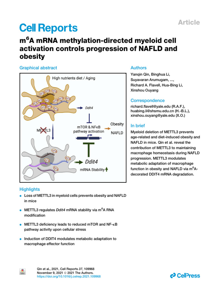 (Cell Rep) M6a mRNA Methylation-Directed Myeloid Cell Activation Controls Progression of NAFLD ...