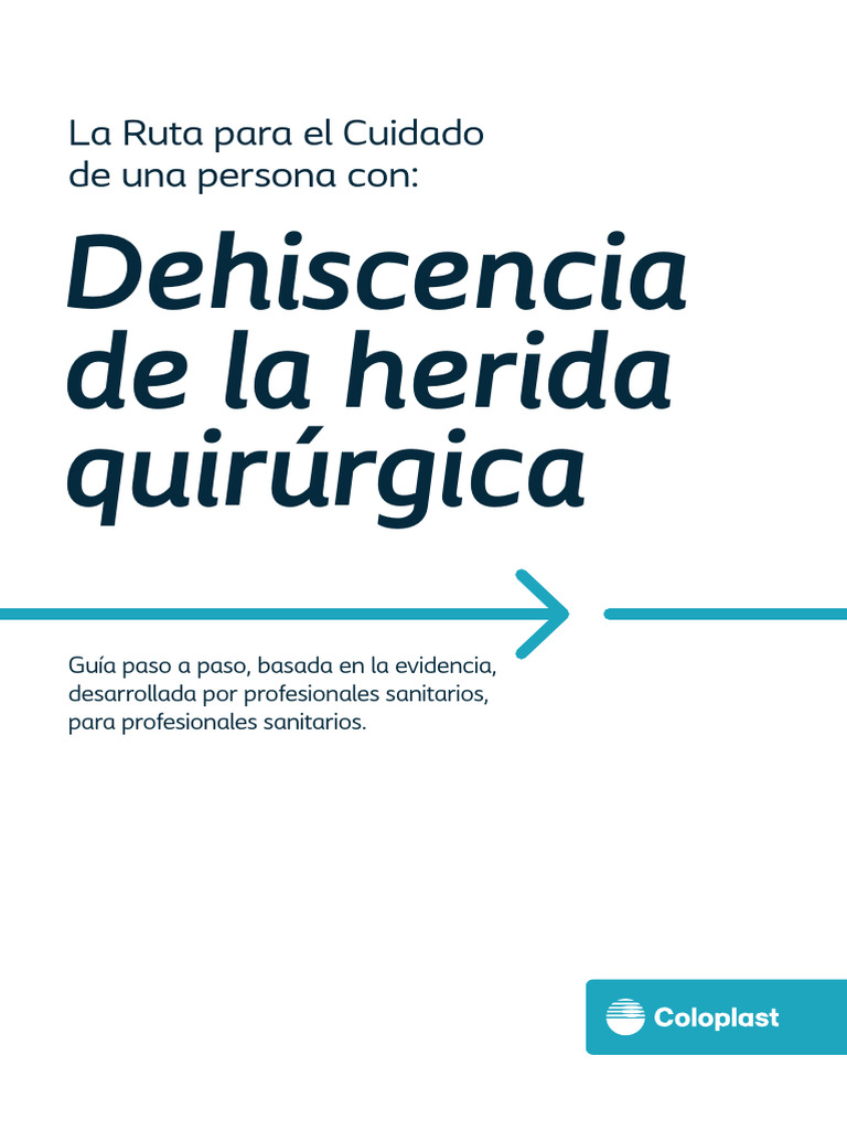 La Ruta para El Cuidado de Una Persona Con Dehiscencia de La Herida ...