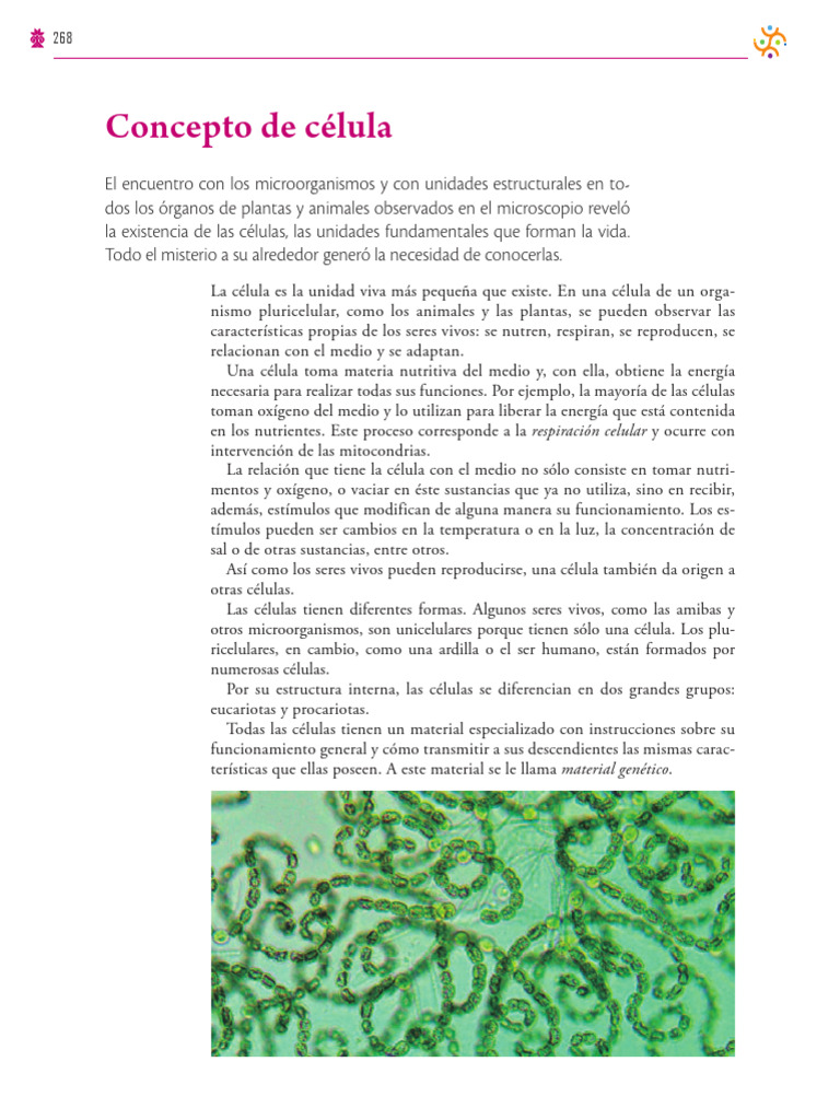 Celula Pdf