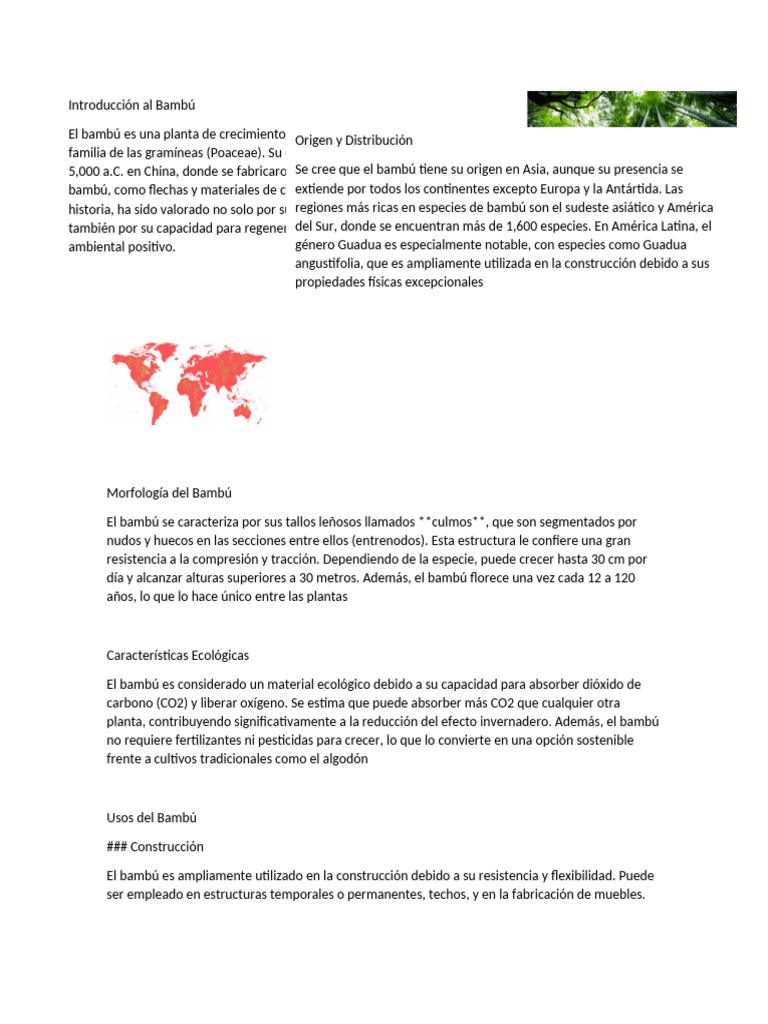 Bambú | PDF