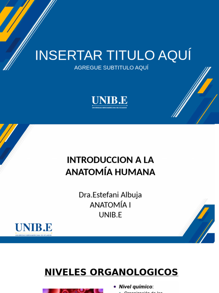 Introduccionanatomia Unibe | PDF