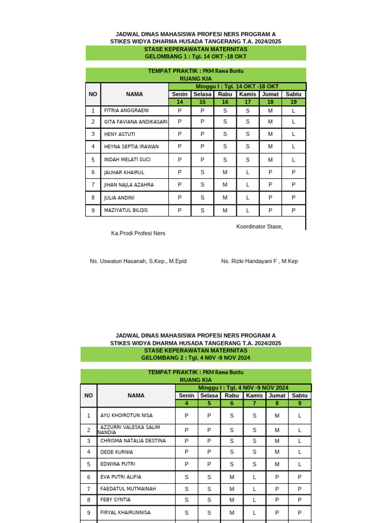 PKM Rawa Buntu | PDF
