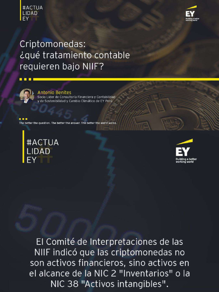 Las Criptomonedas Tratamiento NIIF | PDF