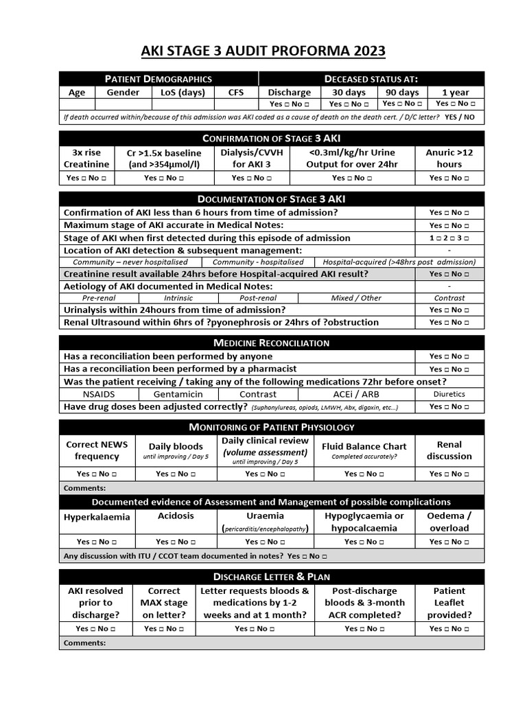 AKI3 Audit Proforma 2023 | PDF