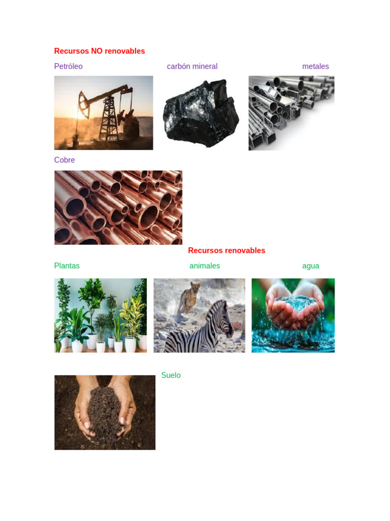 Recursos Renovables y NO Renovables | PDF