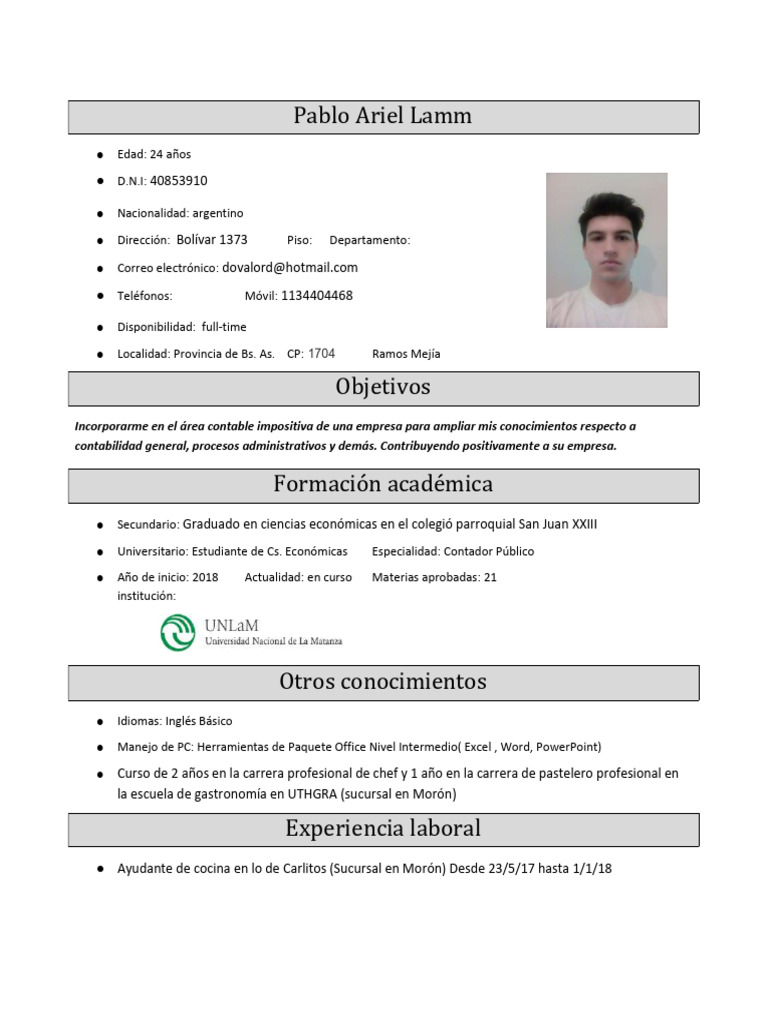 CV Pablo A. Lamm | PDF
