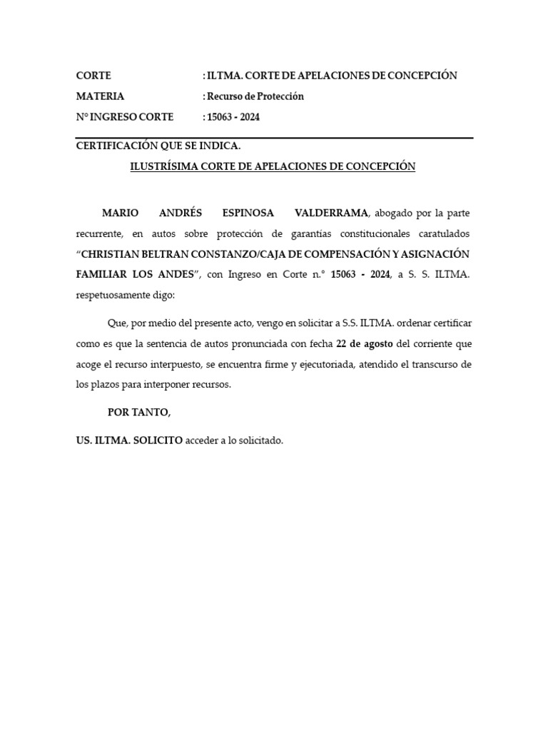 Certifiquese Ejecutoria - RP-15063-2024, CA Concepción | PDF