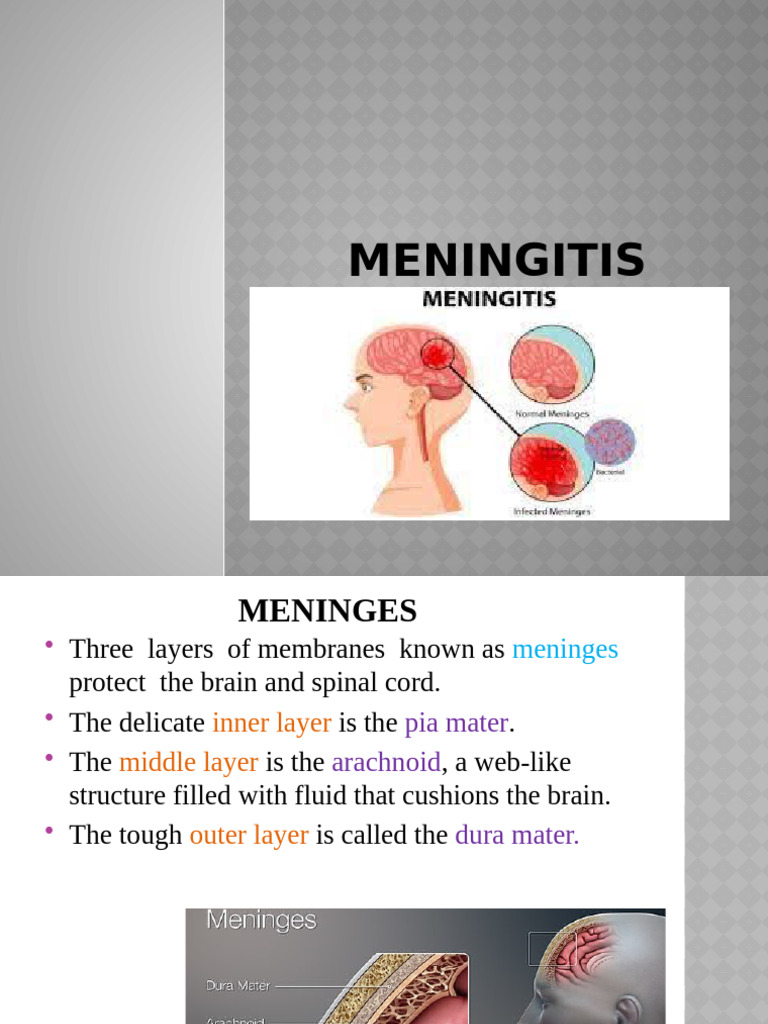 Meningitis | PDF