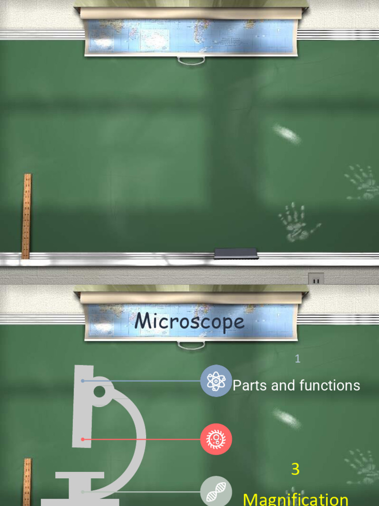 Microcope and Cells | PDF